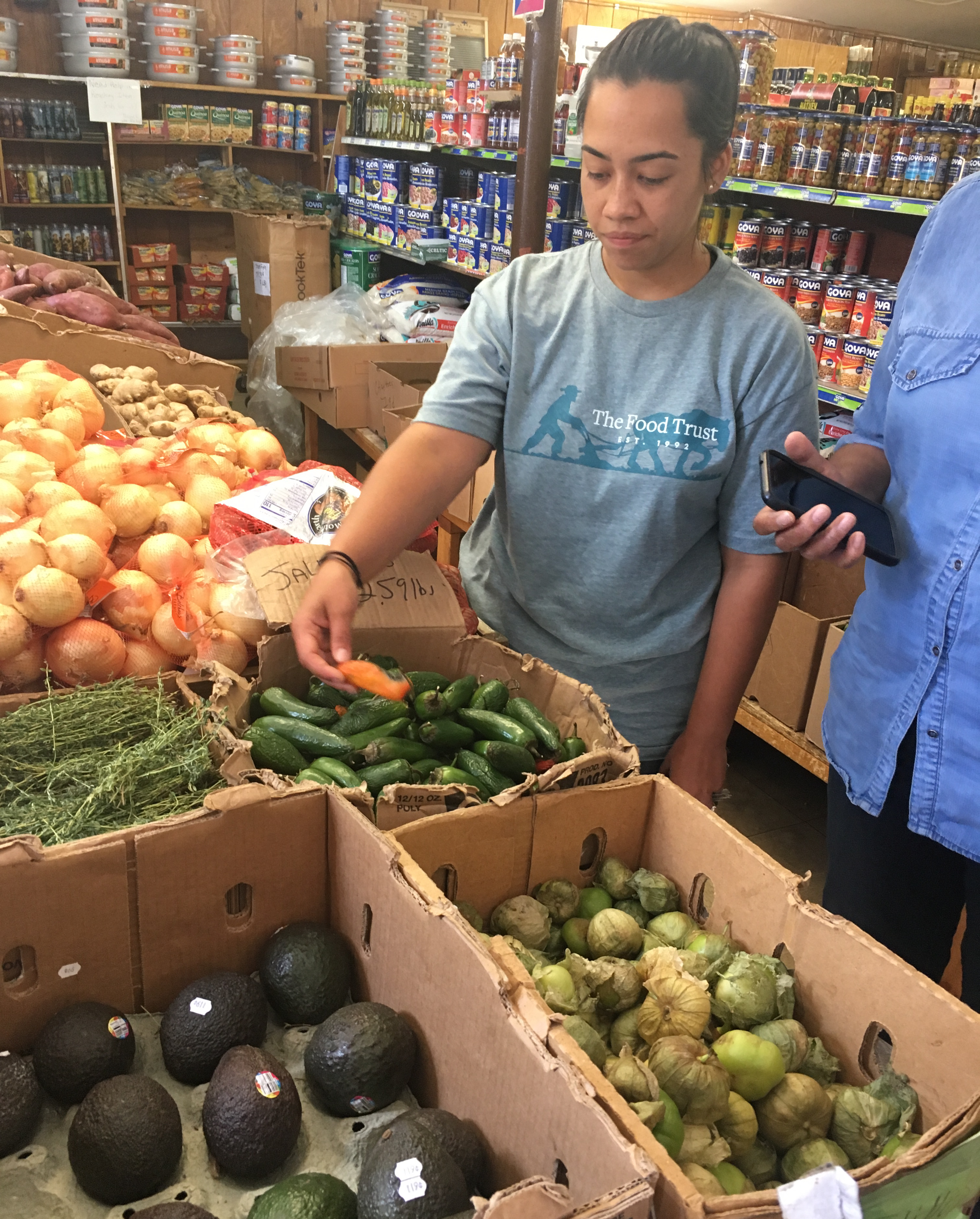 About Us – The FARE Project